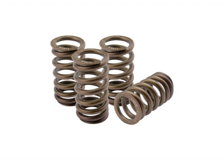 R/S Valve Spring - UMA Racing