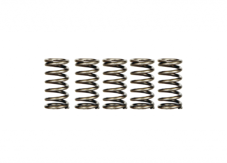 Clutch Spring - UMA Racing