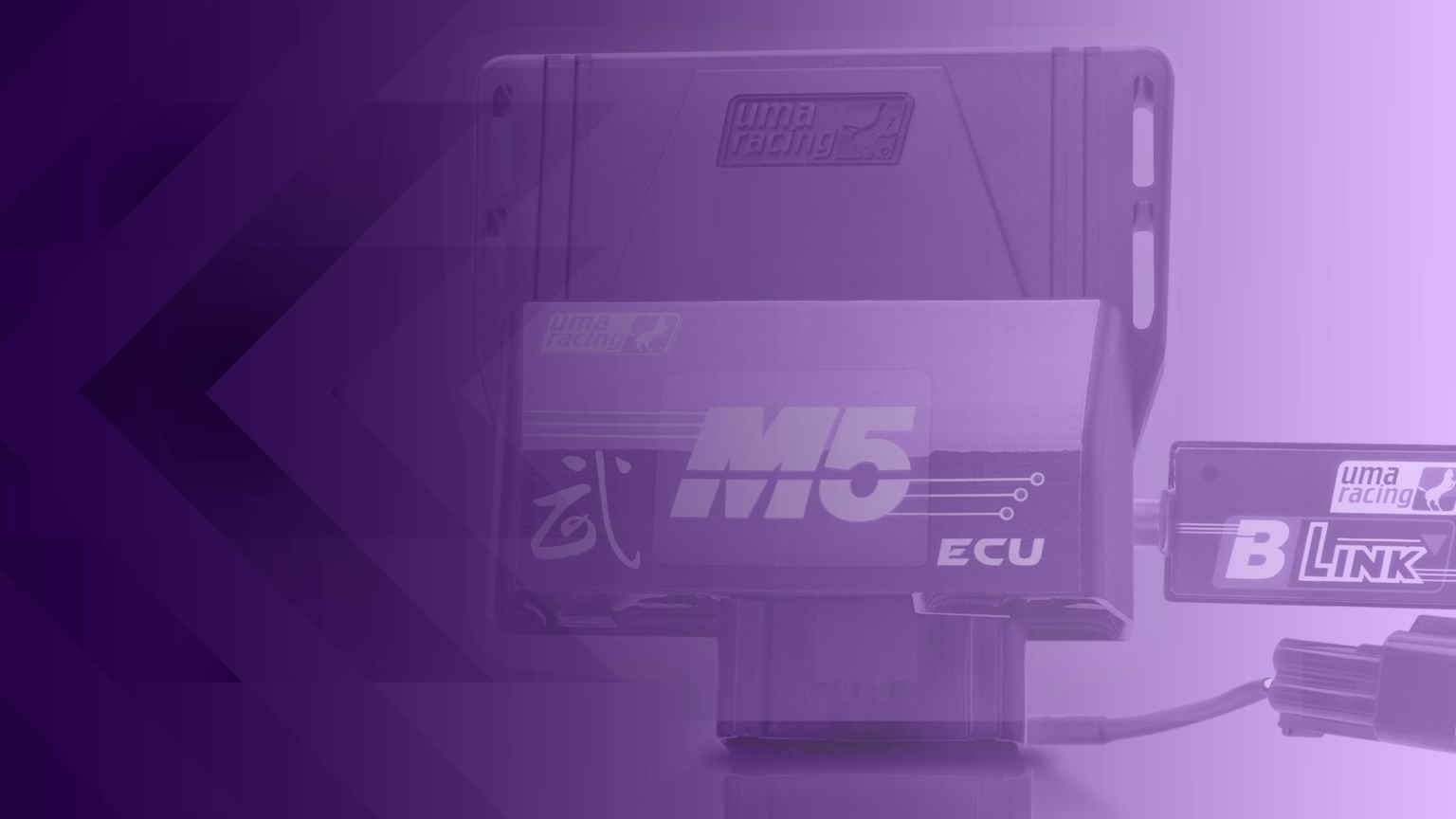 UMA Racing - Reveal True Performance.